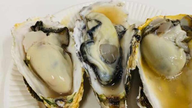 旨い『岩牡蠣』は夏が旬！種類と産地・おすすめの食べ方・死んでるカキの見分け方